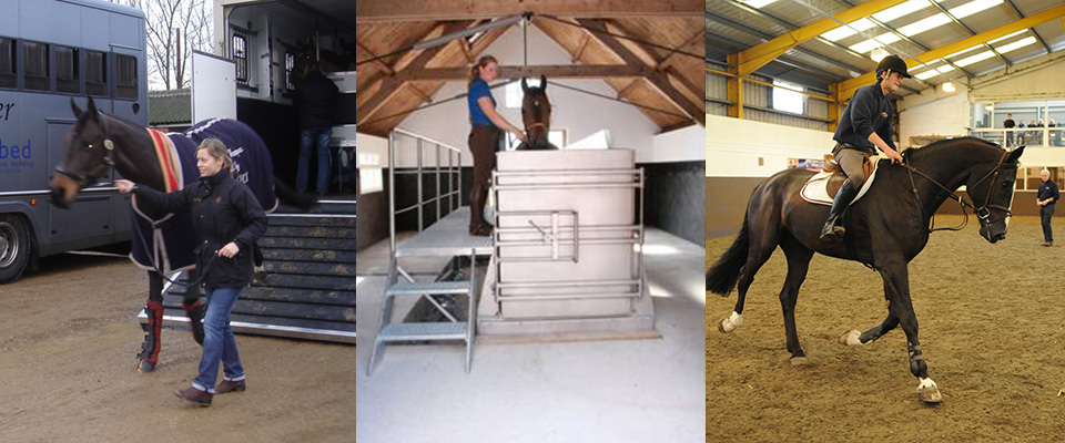 Home [www.stubbingcourttraining.com]